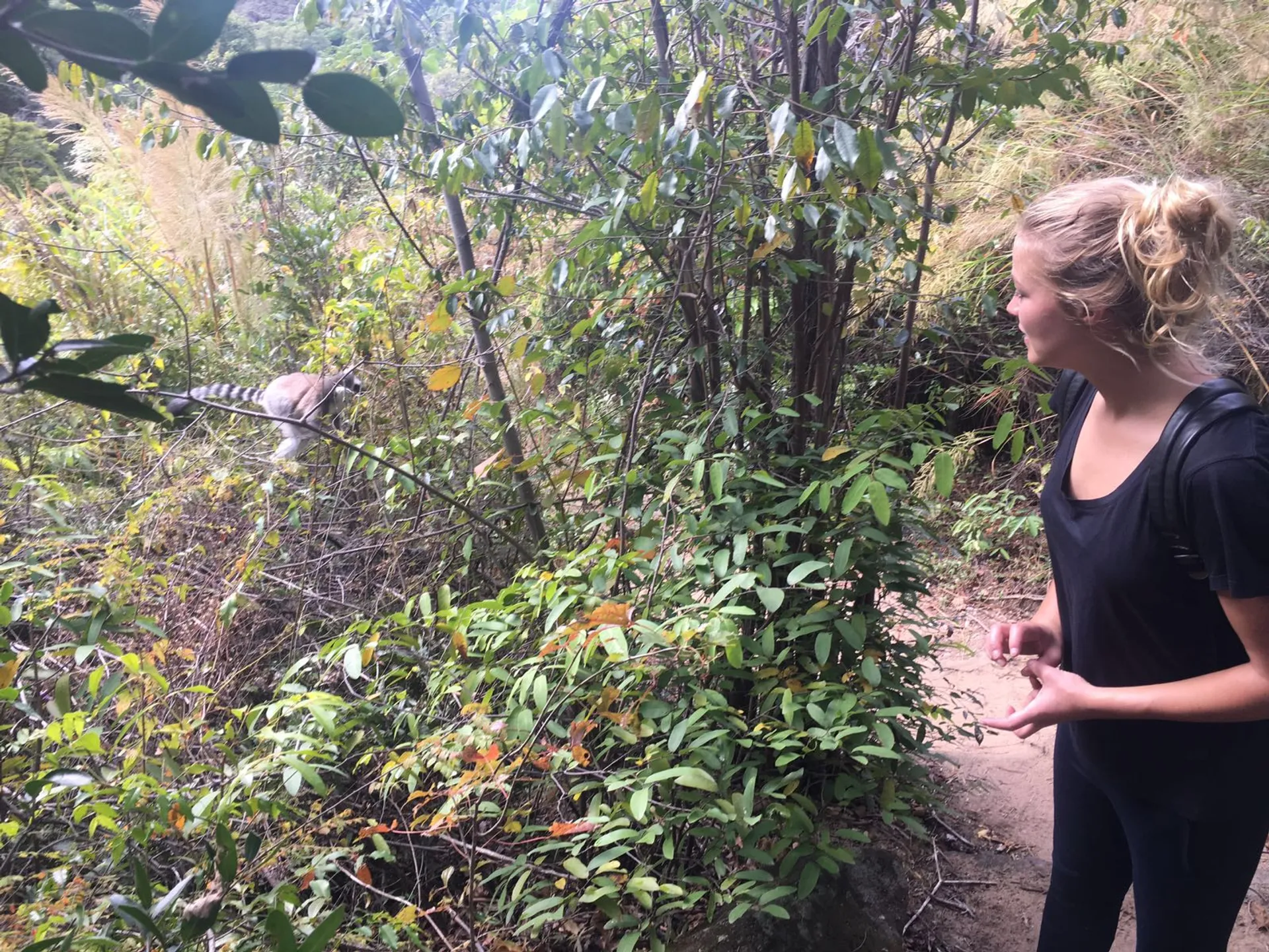 3 op Reis-presentatoren over hun mooiste reis - BNNVARA