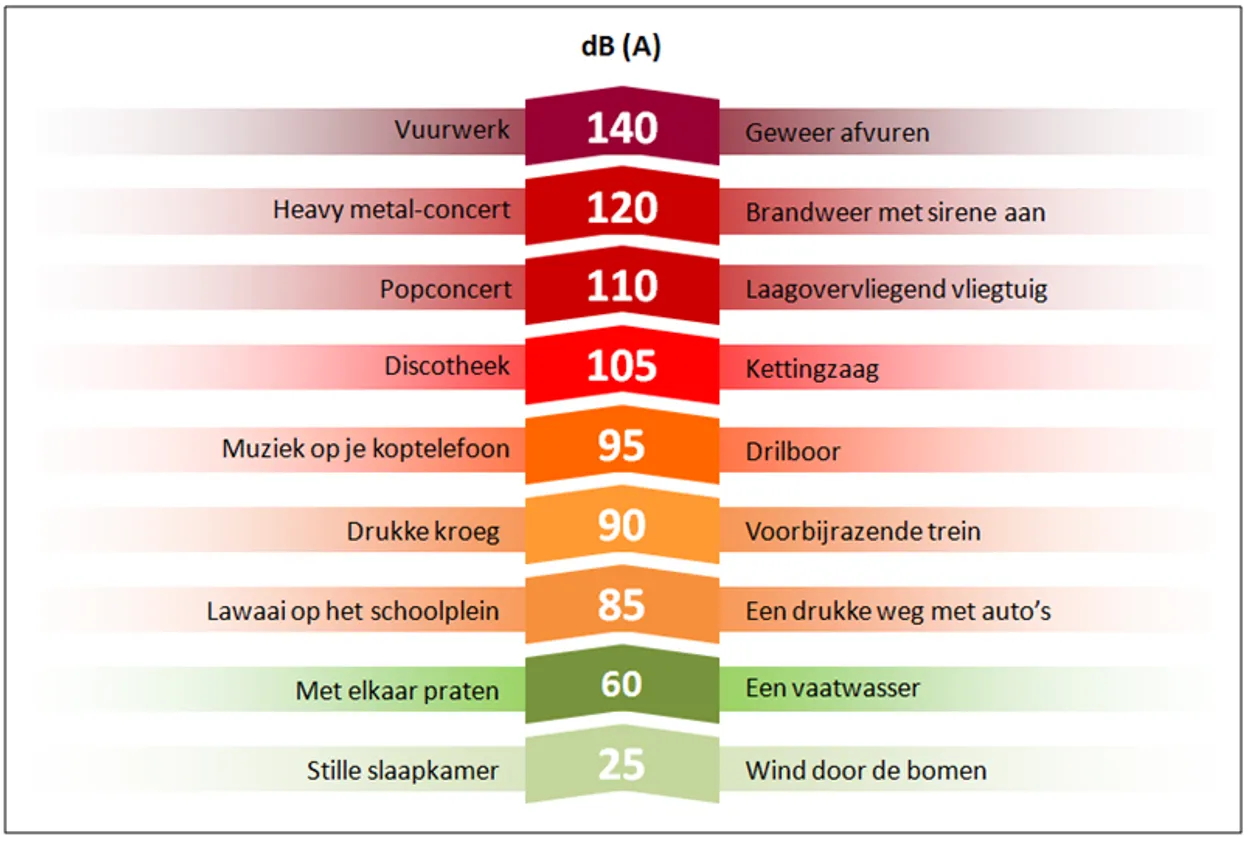 Dit is wat harde muziek met je doet - BNNVARA